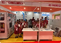 Synchro Electricals - Electrical Panel Manufacturer